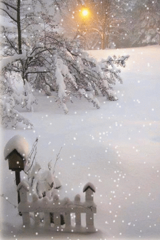 Pin von susanna mayer auf winter....Gif | Winterbilder, Schneebilder ...