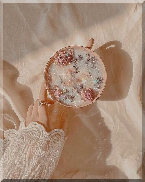 NaturesAlly’s Profile » MyBoomerPlace.com - Baby Boomer Social Network