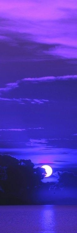 PLS HELP NEVER LATE FOR SUPPER / Neil Sepe (7831778)