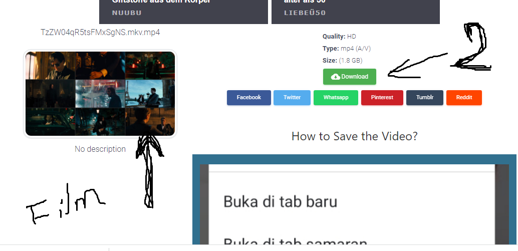 StreamTape Video Downloader