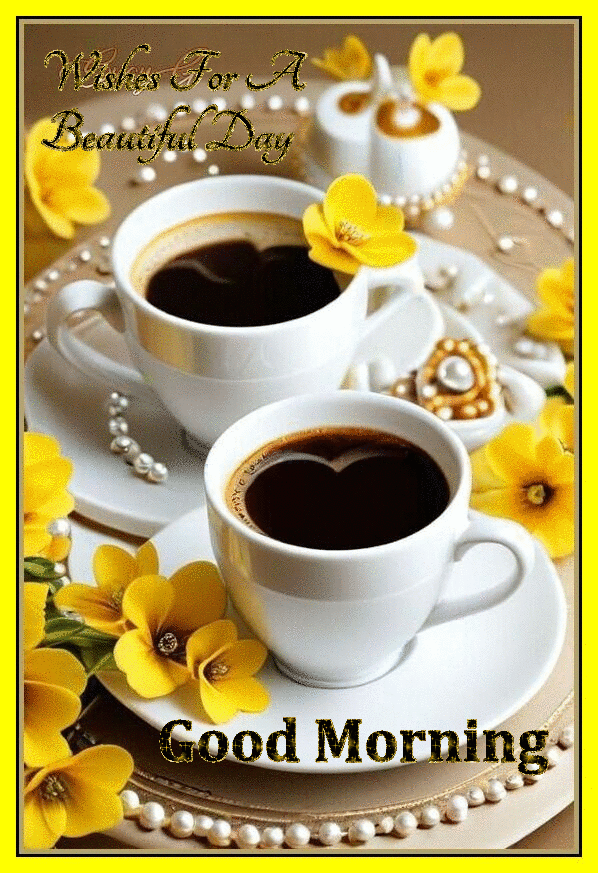 FURBIE / TERRY PLUMADORE (10699528)