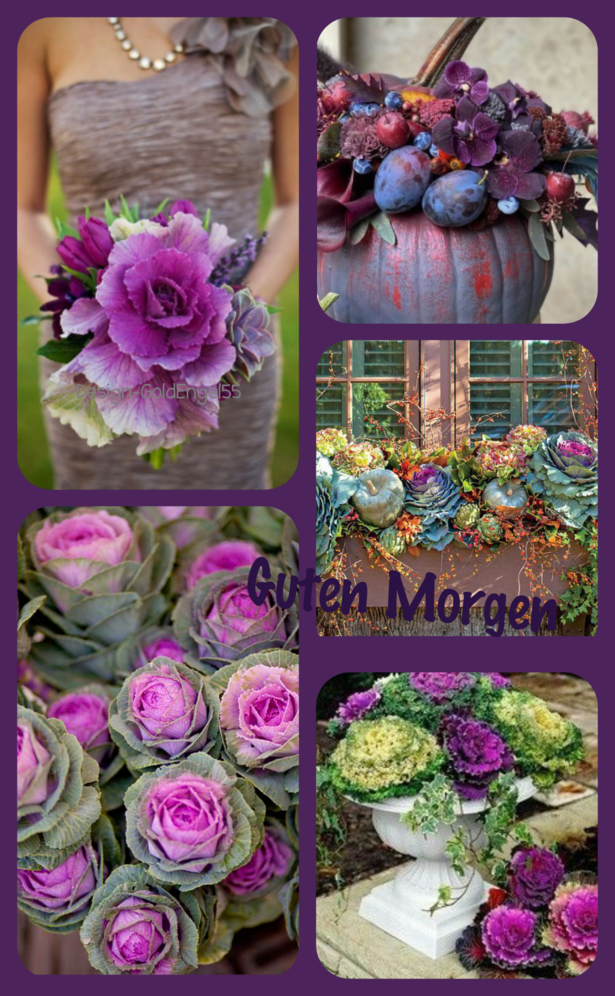 Jappy - Deine Online-Community