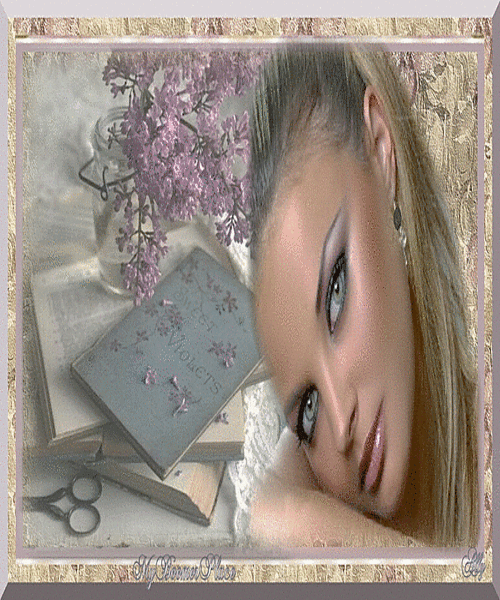 Groups » MyBoomerPlace.com - Baby Boomer Social Network